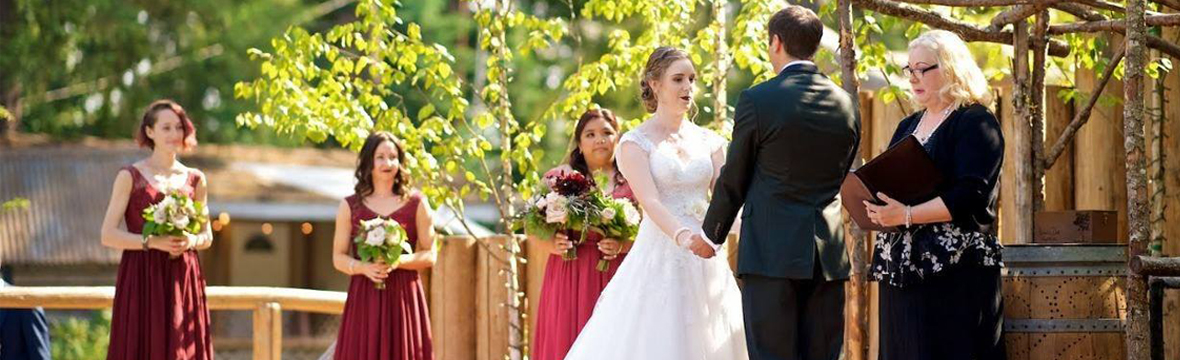 Welcome to Weddings by Shari